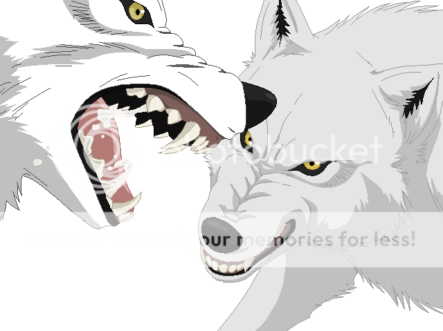 Anime Wolf Packs Fighting