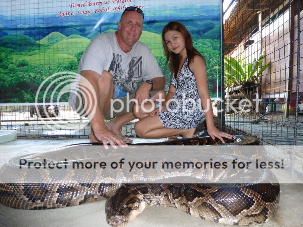 Large Snake keeps coming over - Home