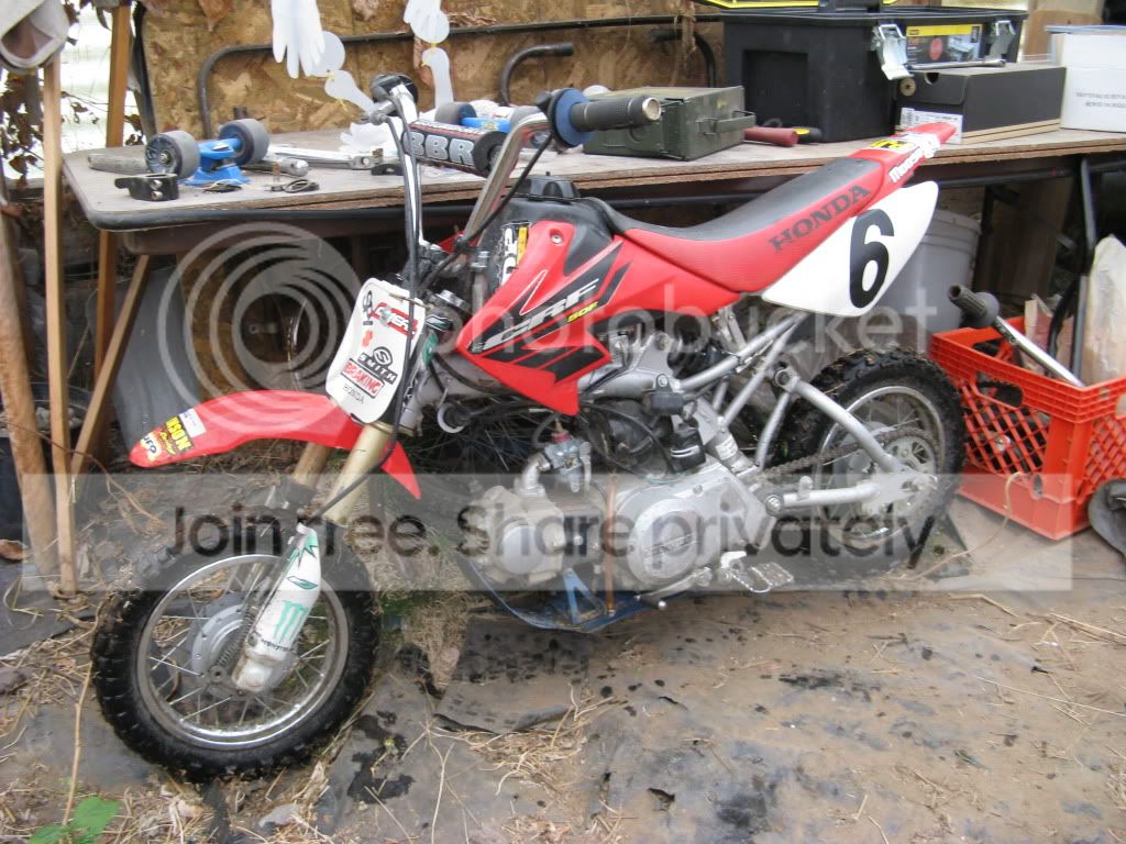 110 ssr | PlanetMinis Forums