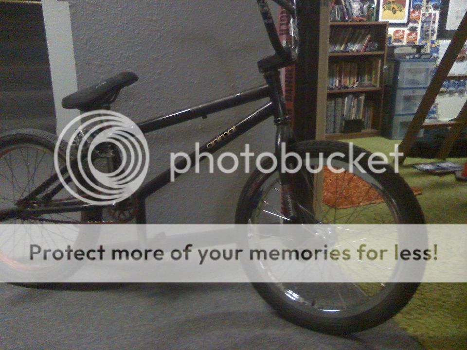 What pieced together, beat up bikes did you ride? - BMXmuseum.com Forums