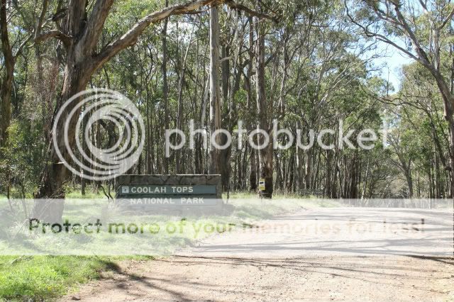 Coolah Tops National Park - Alchetron, the free social encyclopedia