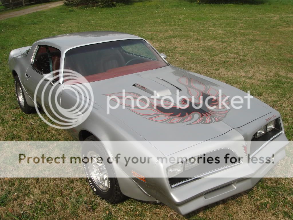 75 trans am | Team Chevelle