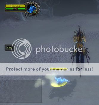 catch of the day | Kamalia et alia